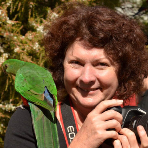 Peta Boyce - SAA Exhibitions