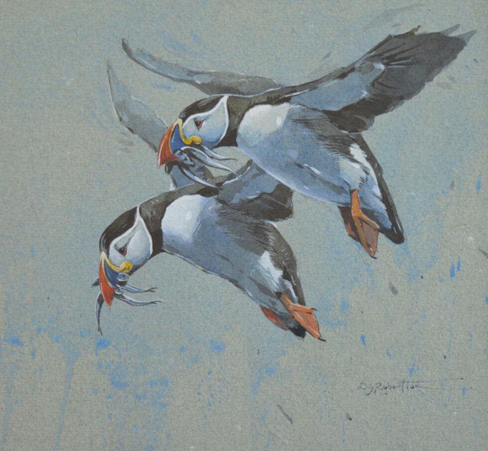 Derek Robertson - SAA Exhibitions