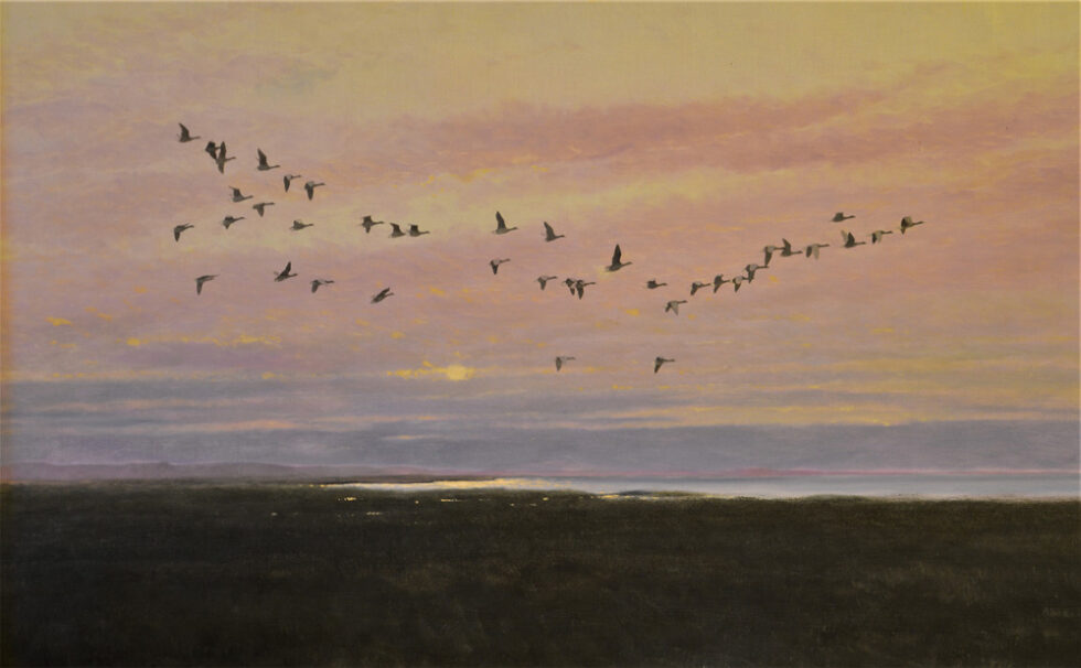 Lennart Sand - SAA Exhibitions