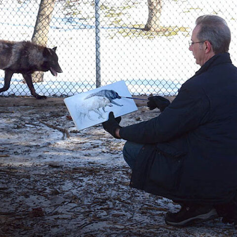 Michael Pape - SAA Exhibitions