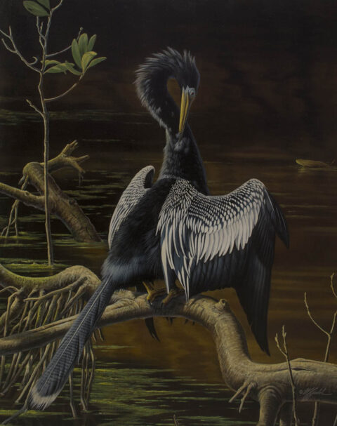 Wilhelm Goebel - SAA Exhibitions